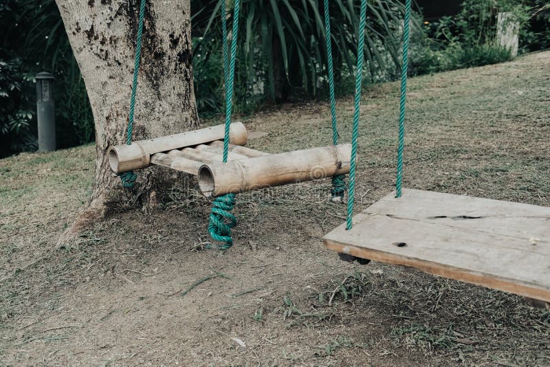 Wood Swing Hanging on Tree in Park Stock Photo - Image of plant, wood ...