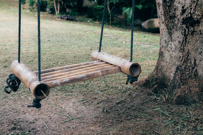 Wood Swing Hanging on Tree in Park Stock Photo - Image of wooden, tree ...