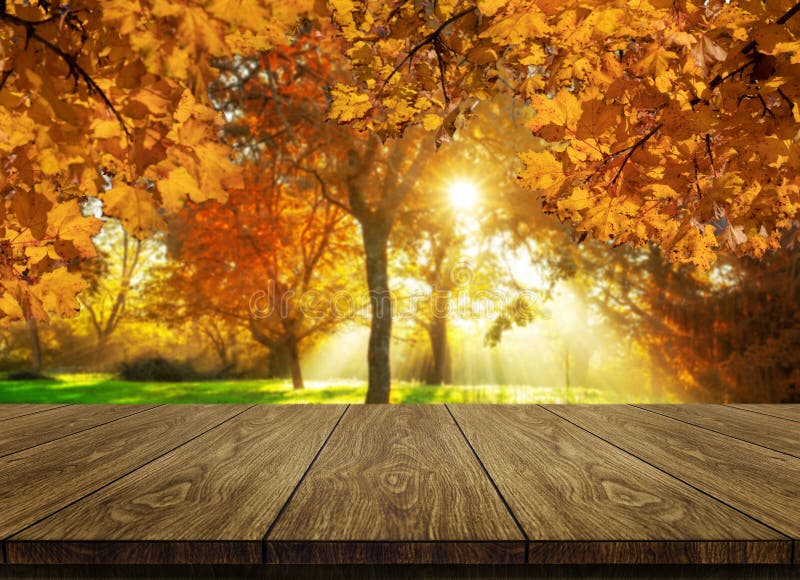 Wood Table in Autumn Landscape with Empty Space. Stock Photo - Image of ...