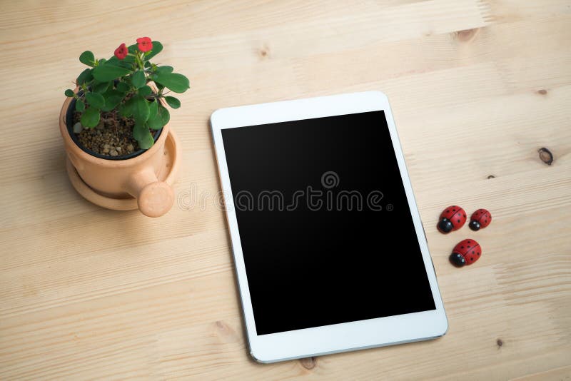 Wood Table with Blank Screen Smartphone and Flower on Pot and Ladybug ...