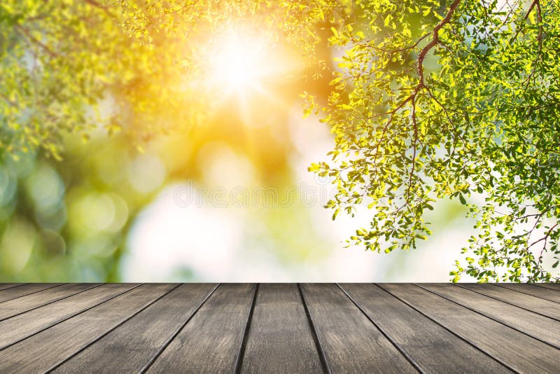 406 Bokey Stock Photos - Free & Royalty-Free Stock Photos from Dreamstime