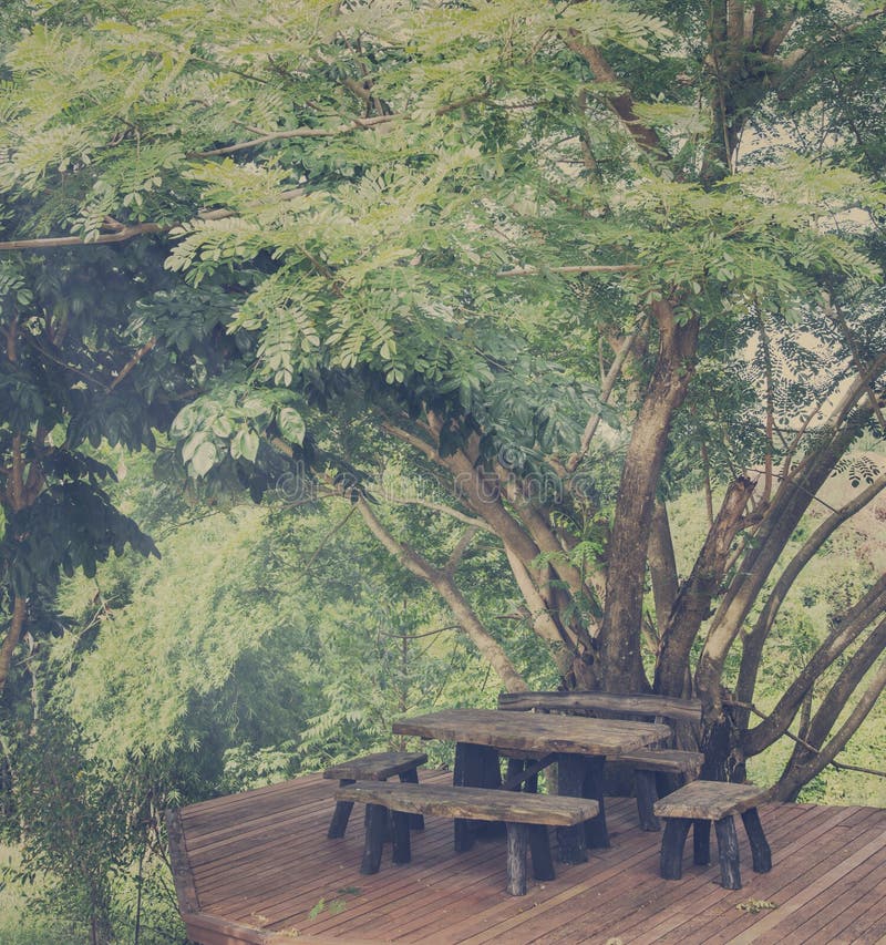 A Wood Chair Under Tree In A Garden Stock Image - Image of area ...