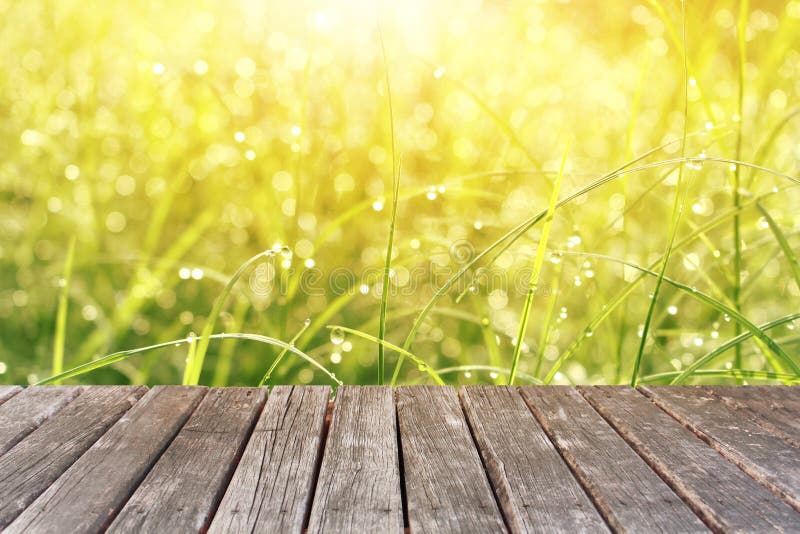 Wood Table On Grass Background Stock Image - Image of outside, board ...
