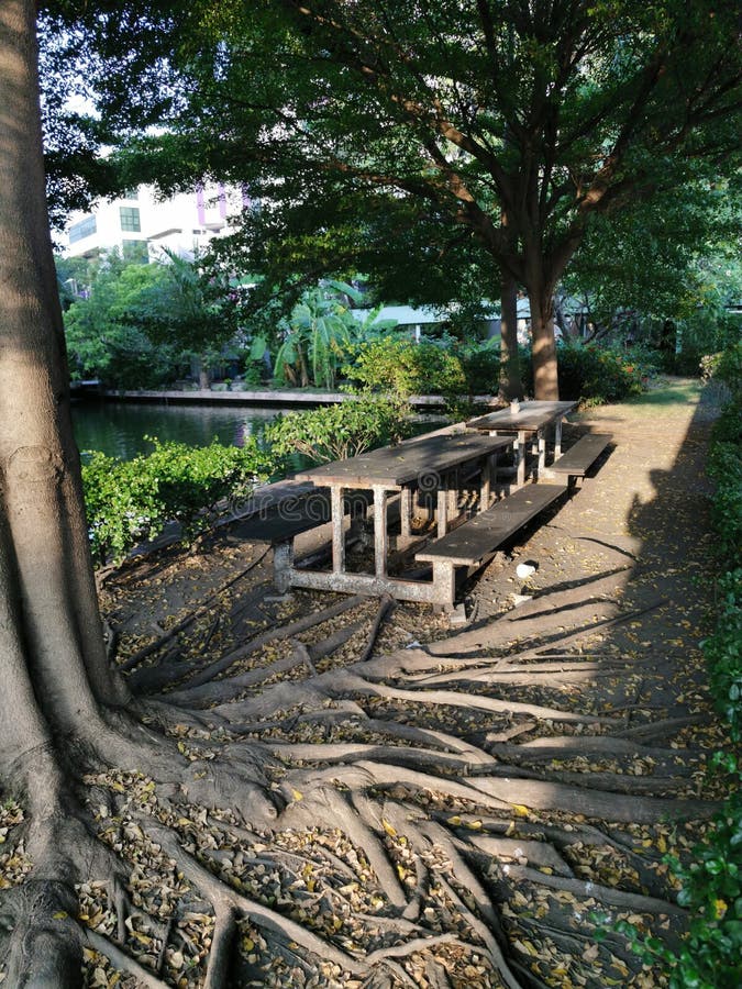 The Wood Table Under the Sun Sun Set Tonight in the Park Stock Image ...