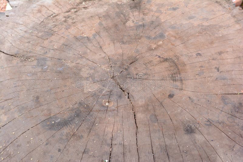 Wood text stock photo. Image of feature, design, geology - 73067232