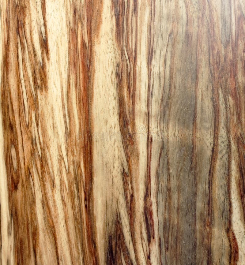 Maple Bird S Eye (wood Texture) Stock Photo - Image of design, close ...