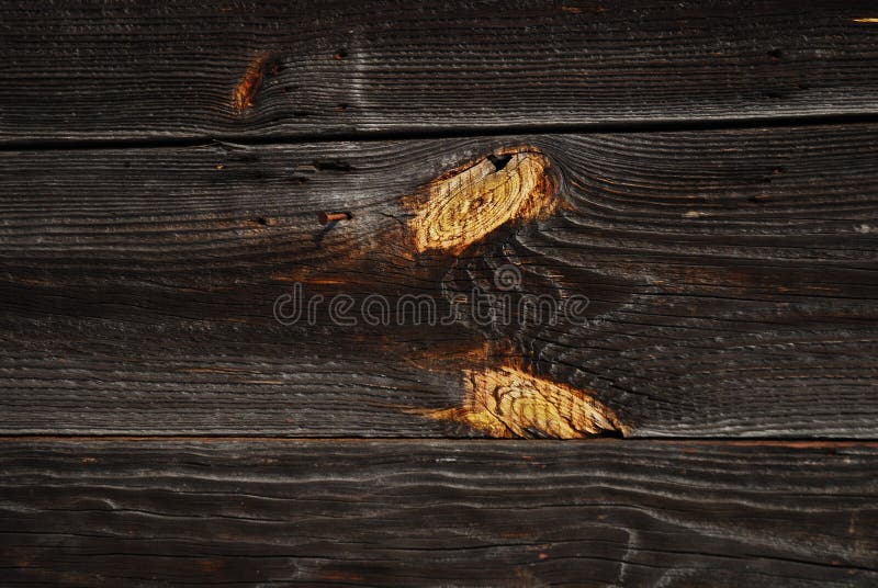 Briar-root wood texture stock image. Image of macro, texture - 30333843