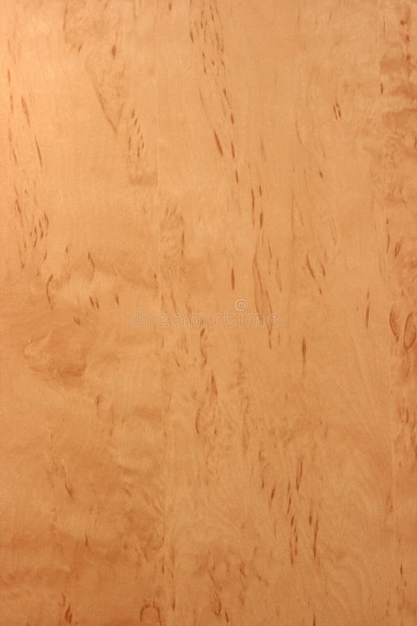 Birdseye Maple Textures #2 stock image. Image of details - 27447821