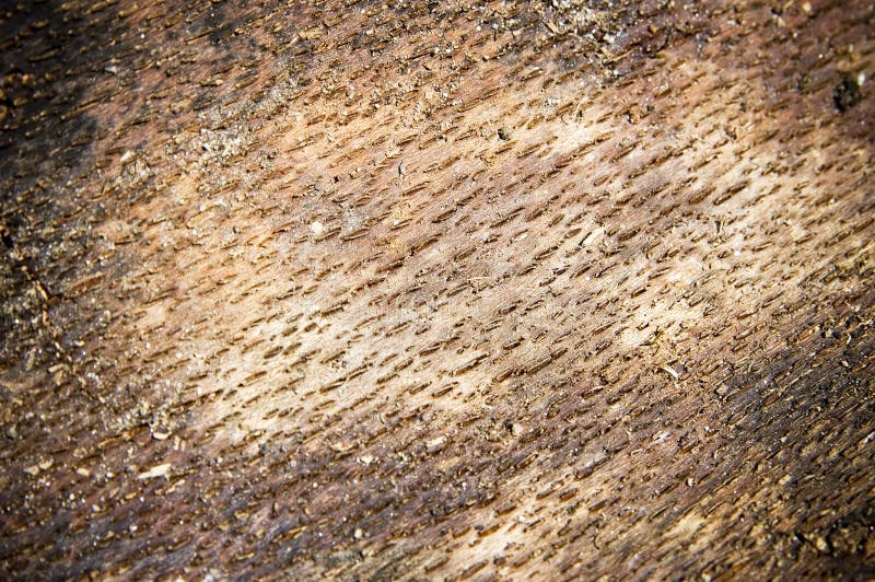 Wood texture stock image. Image of mahogany, ceddar, wood - 1353967