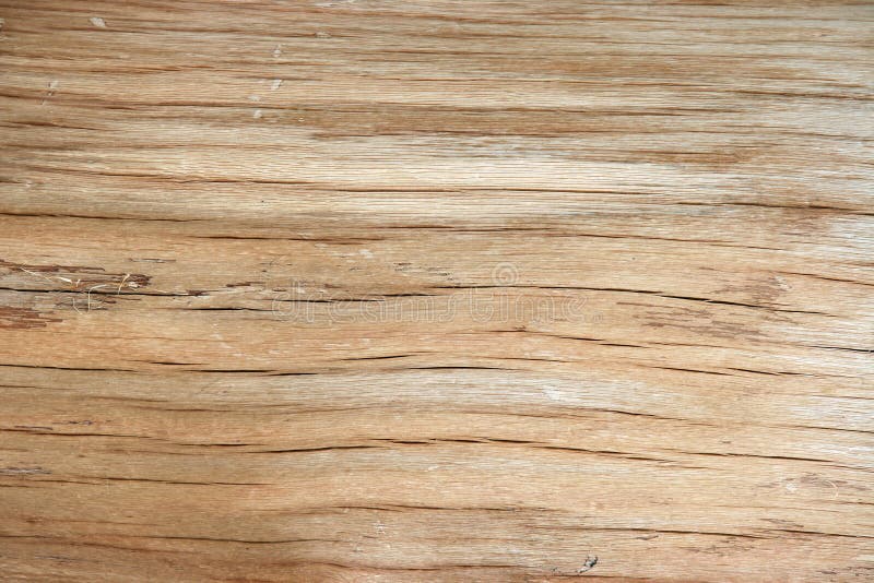 Wood texture stock image. Image of balk, timber, texture - 1463993