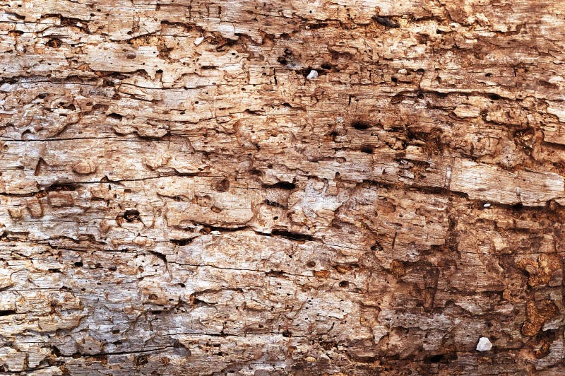 6,748 Corroded Wood Stock Photos - Free & Royalty-Free Stock Photos ...