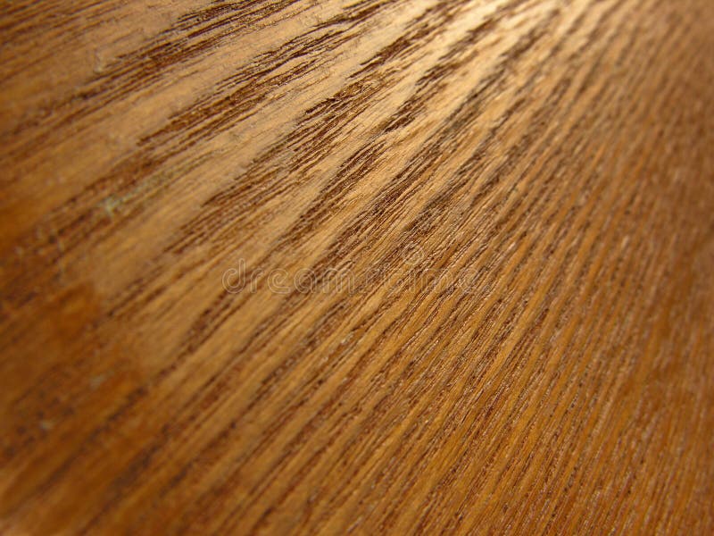 Wood Texture stock photo. Image of nature, close, texture - 2531706