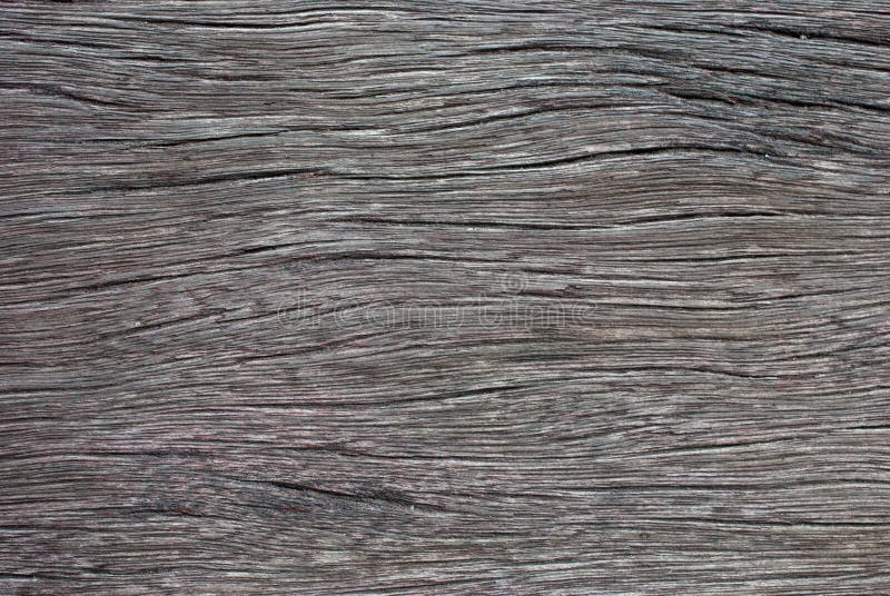Wood stock photo. Image of bumpy, texture, design, wood - 526448
