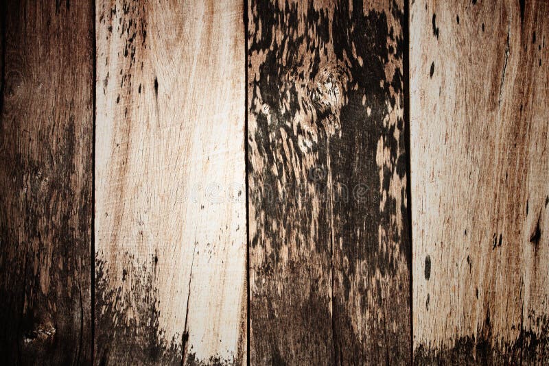 Wood texture stock image. Image of obsolete, plank, grungy - 24877919