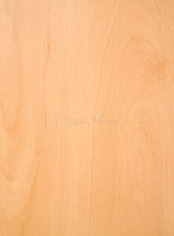 White Stained Wood Texture stock image. Image of pine - 4432801