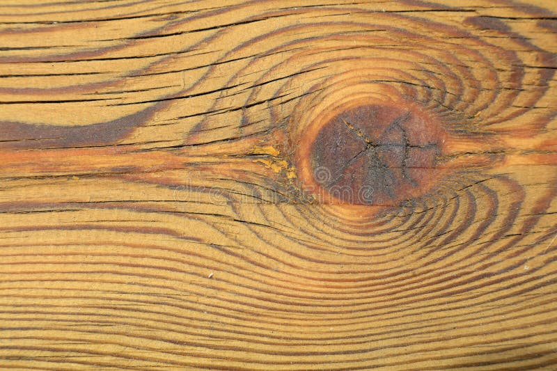 Wood texture stock photo. Image of structure, scar, abstract - 369383040