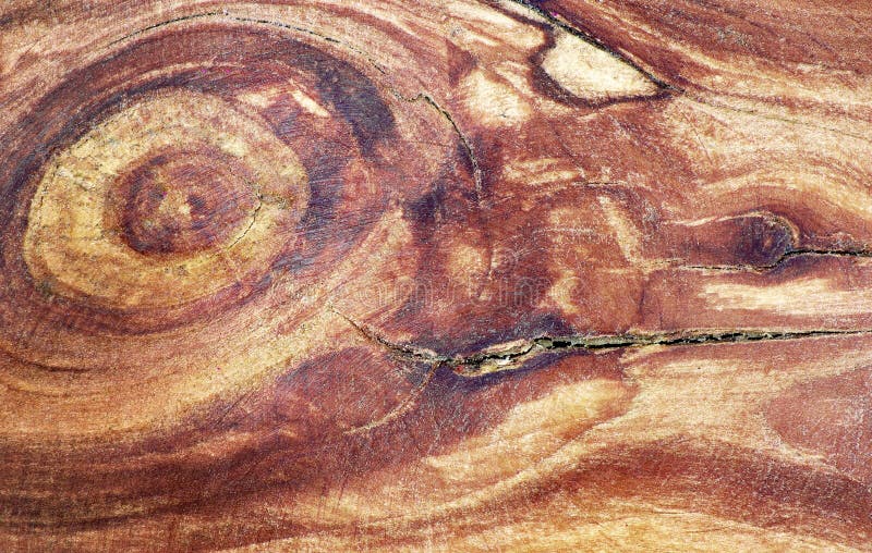 Wood Texture. Apricot Wood Texture Background Stock Photo - Image of ...