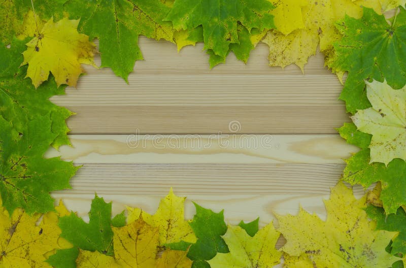 Wood Texture and Autumn Leaves Stock Photo - Image of wood, texture ...