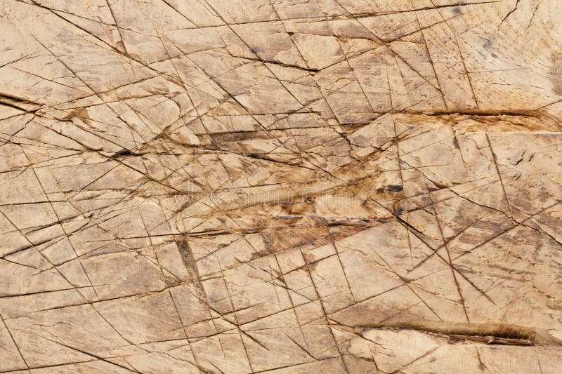 Wood Texture with Axe Marks Stock Image - Image of sawn, wood: 320662773