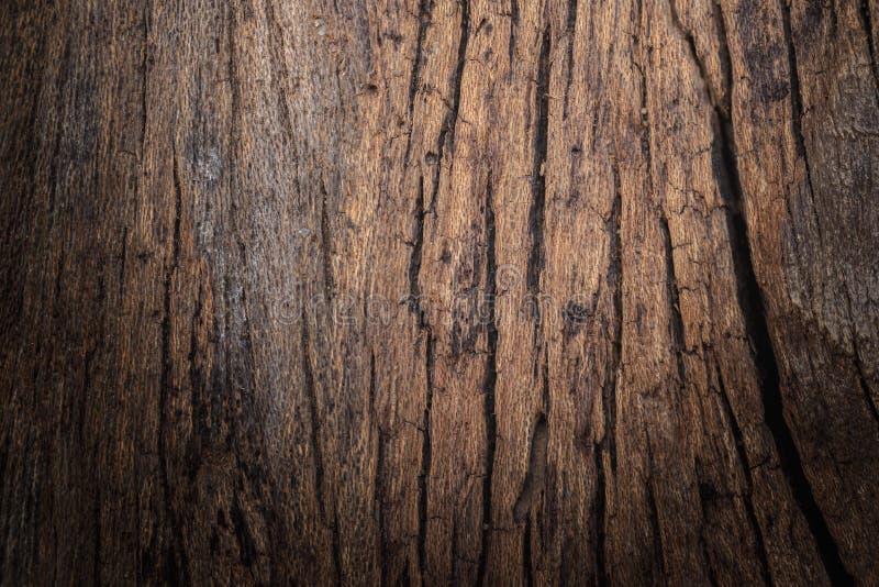 Wood texture background stock image. Image of background - 261294145