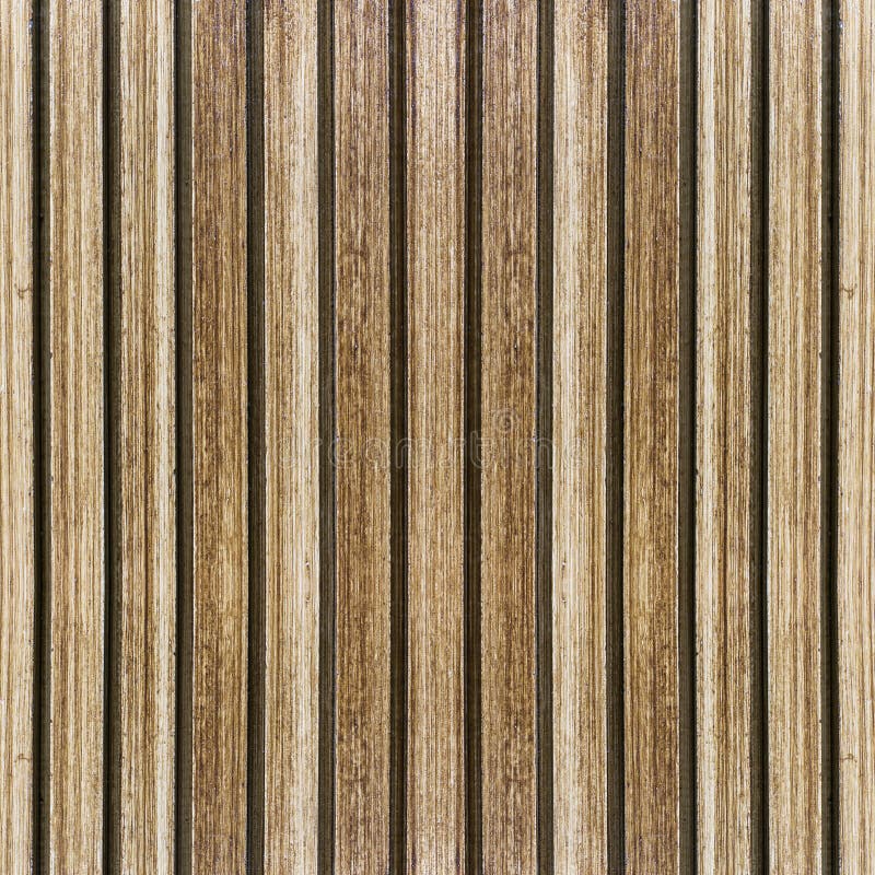 Birch wood section texture stock image. Image of abstract - 33953077