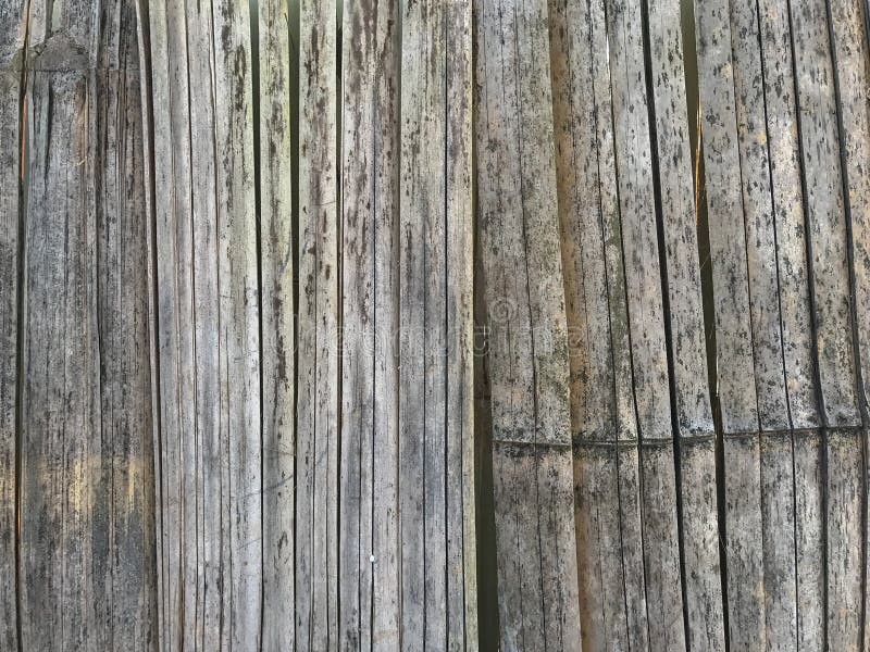 Wood Texture. Background Bamboo Wall Panels Stock Image - Image of ...