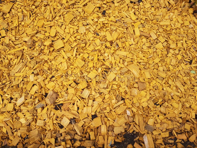 Wood texture background stock image. Image of grungy - 143025177