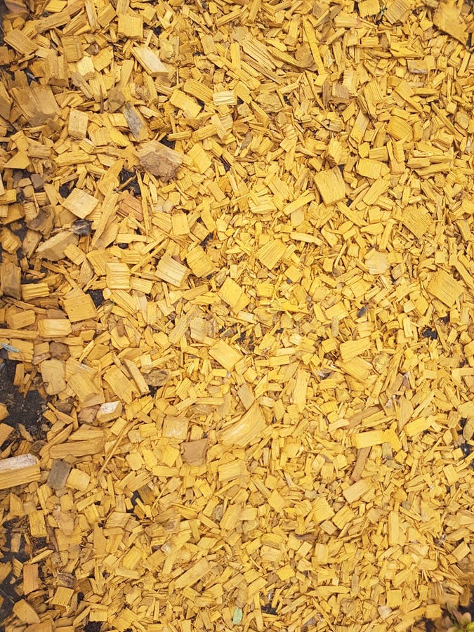 Wood texture background stock image. Image of exterior - 143025185