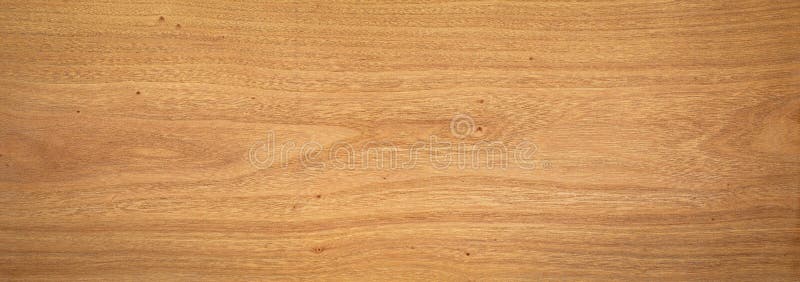 Wood Texture Background. Extra Long Elm Wood Plank Texture Background ...