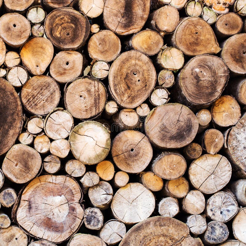 649 Cuted Wood Stock Photos - Free & Royalty-Free Stock Photos from ...