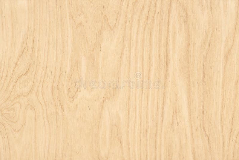 356 Light Wash Wood Photo Frame Stock Photos - Free & Royalty-Free ...