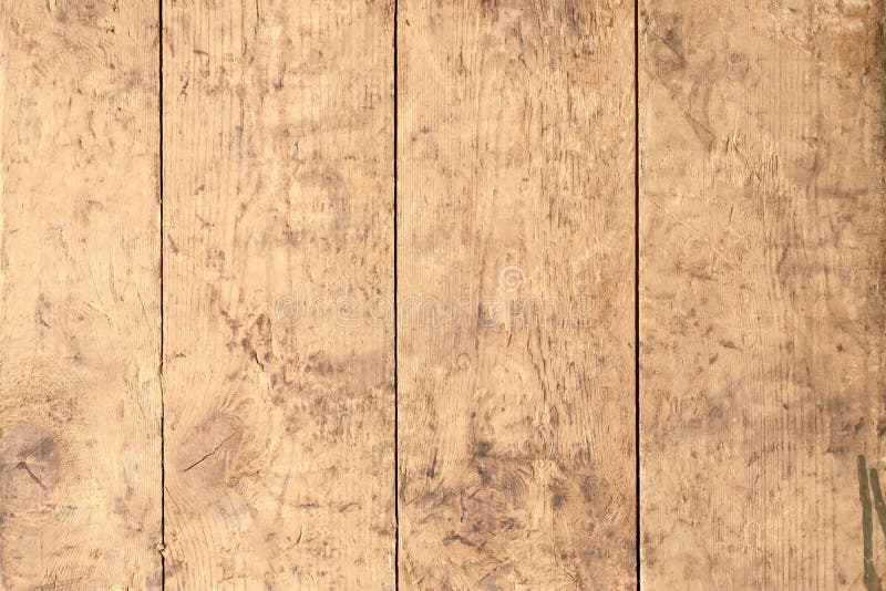 133 Bleached Rosenheim Maple Stock Photos - Free & Royalty-Free Stock ...