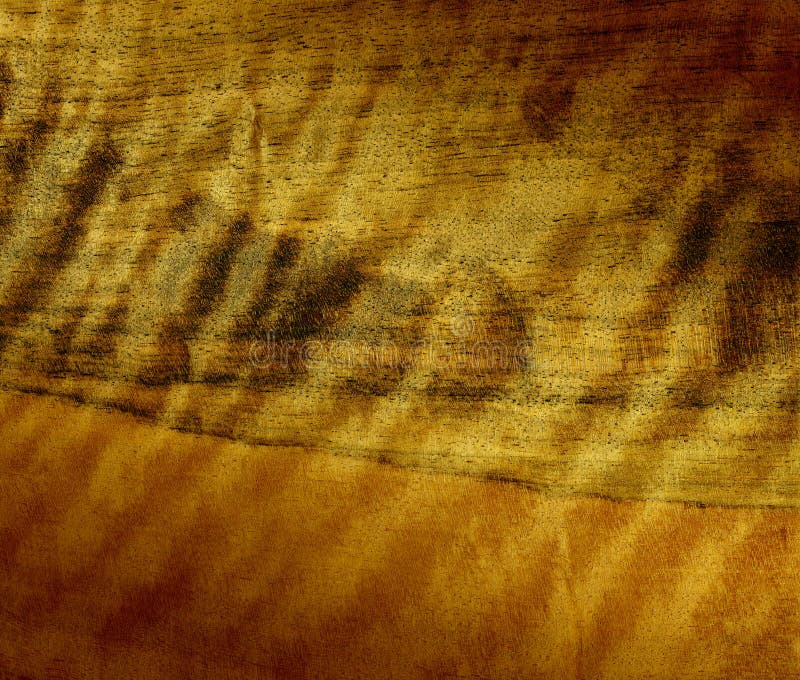 Wood texture background stock image. Image of background - 115332115