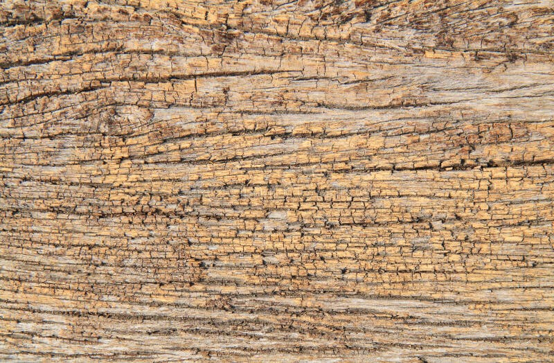 Wood texture stock image. Image of group, carpenter, grained - 52627675