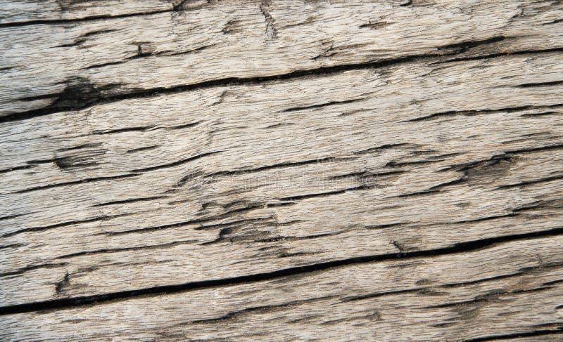 Wood texture stock photo. Image of interior, nature, panel - 52628100