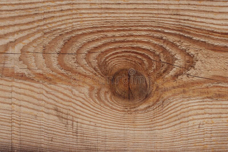 Wood Texture Background. Natural Wooden Surface. Light Wooden ...