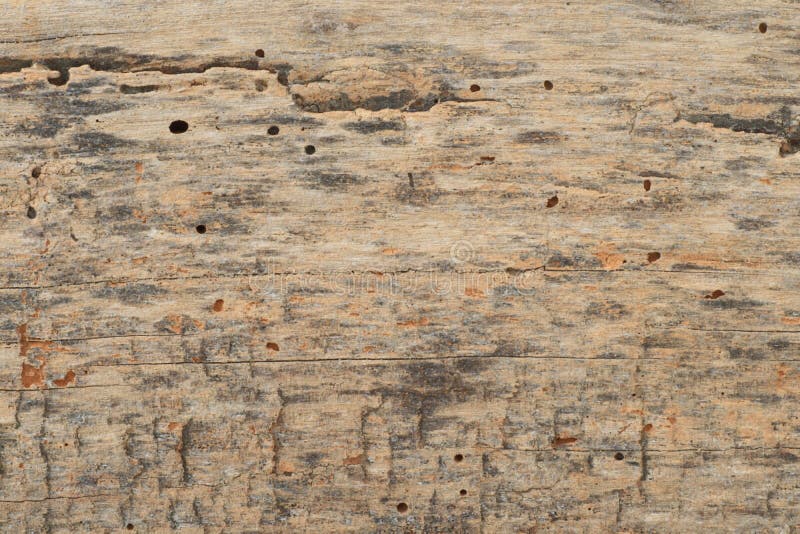 Wood Texture Background, Top View Wooden Panel for Your Text or Design ...