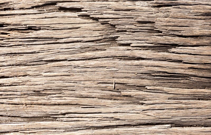 Wood texture background stock image. Image of building - 53727313