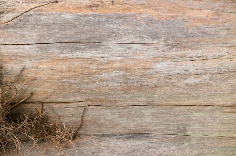 Wood texture from barn stock photo. Image of backdrop - 80120726