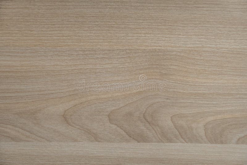 Wood texture beige 3 stock photo. Image of hardwood - 199371190