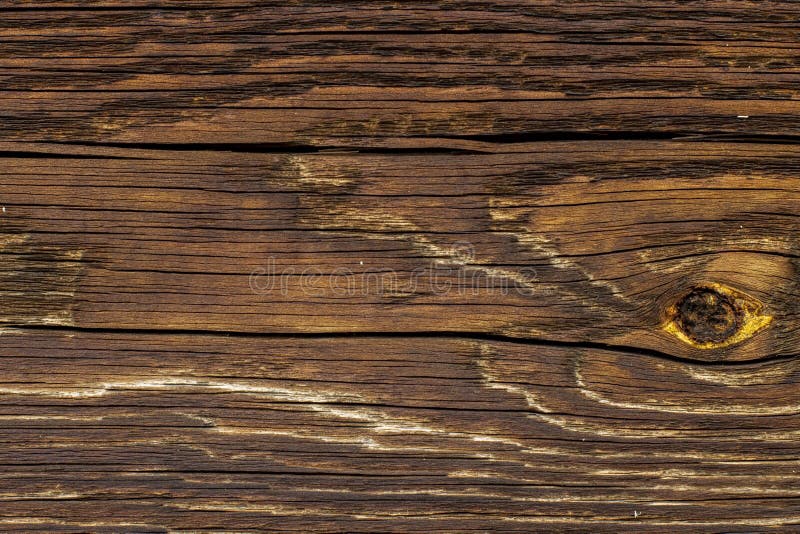 Wood Texture of the Board Sun-bleached Top View Stock Photo - Image of ...