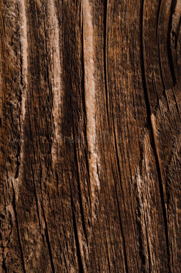 Wood Texture Brown Color Background Stock Photo - Image of rustic ...