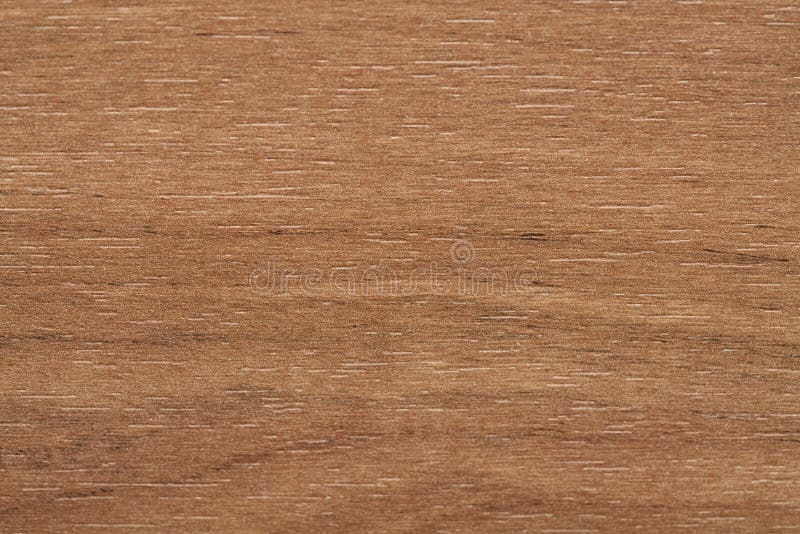 The Wood Texture of the Cabinet Lining is Pale in Color. with Patterns ...