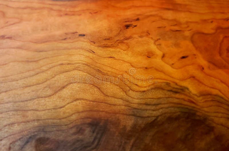 Wood texture stock photo. Image of yearlines, texture - 121608098