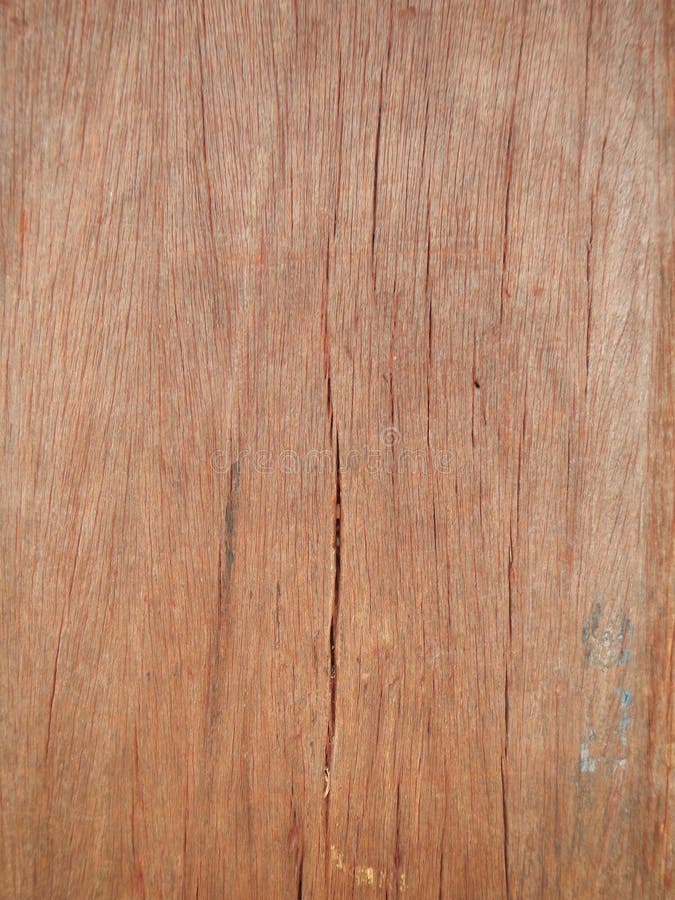 Wood Texture stock photo. Image of mossy, everest, design - 89792188