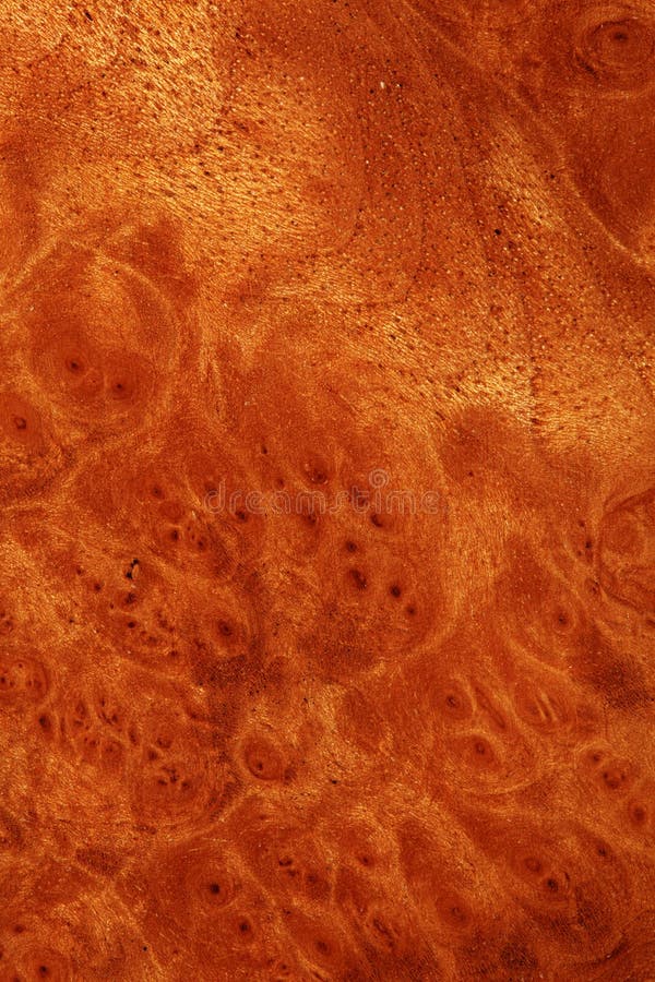 Wood texture close up stock image. Image of textured, surface - 8584999