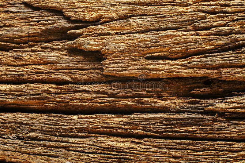 Wood Texture stock photo. Image of smooth, close, pattern - 51480716