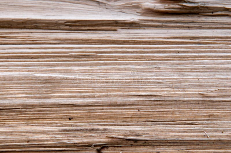 Wood texture stock photo. Image of splinter, texture - 60113918
