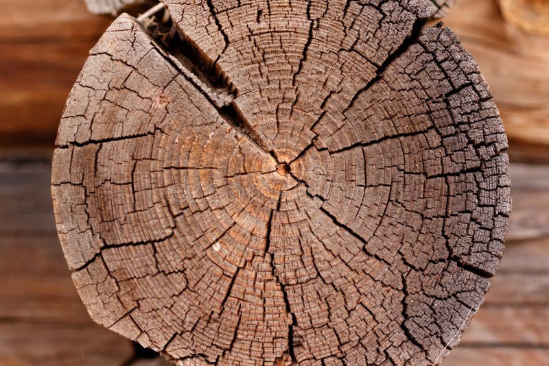 The Texture of a Tree Log. Close-up Stock Photo - Image of industry ...