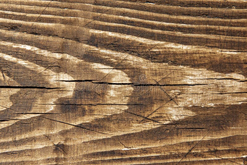 Wood Texture Close Up. Natural Wood Background with Knots Stock Photo ...